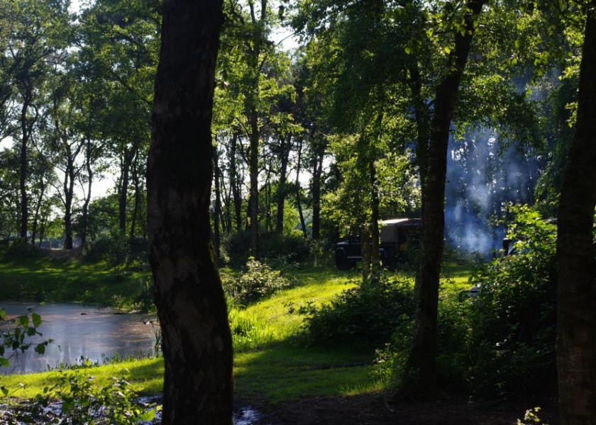 Outdoor 'bos' arrangement | De Beekse Hoeve