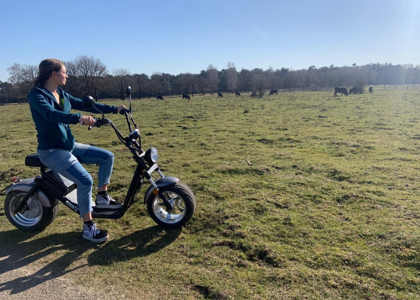 E-chopper tour over de Veluwe in Otterlo | De Beekse Hoeve